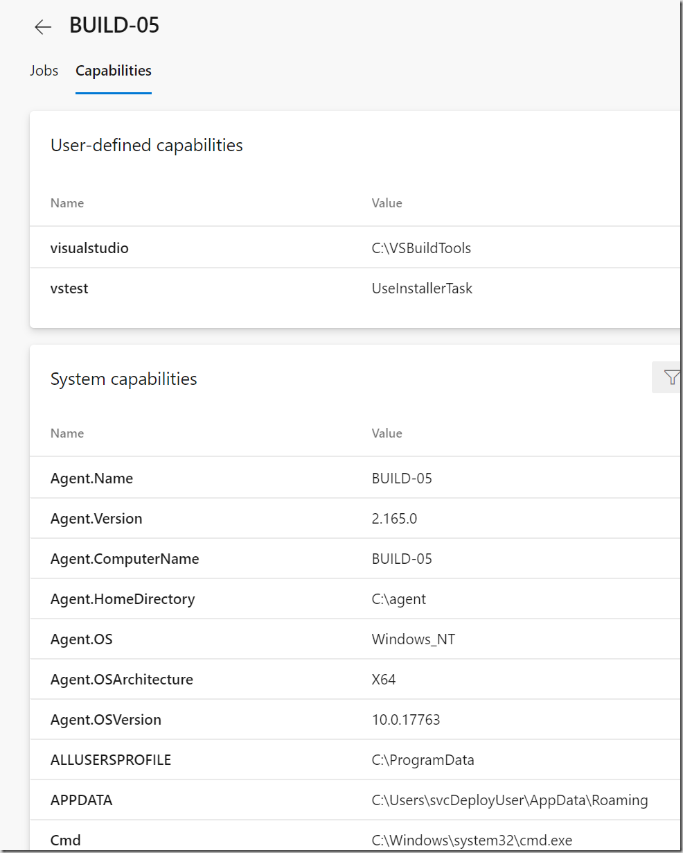 Building Self Hosted Azure Devops Agents With Windows Server 2019 Core Dotnet Catch Blogging